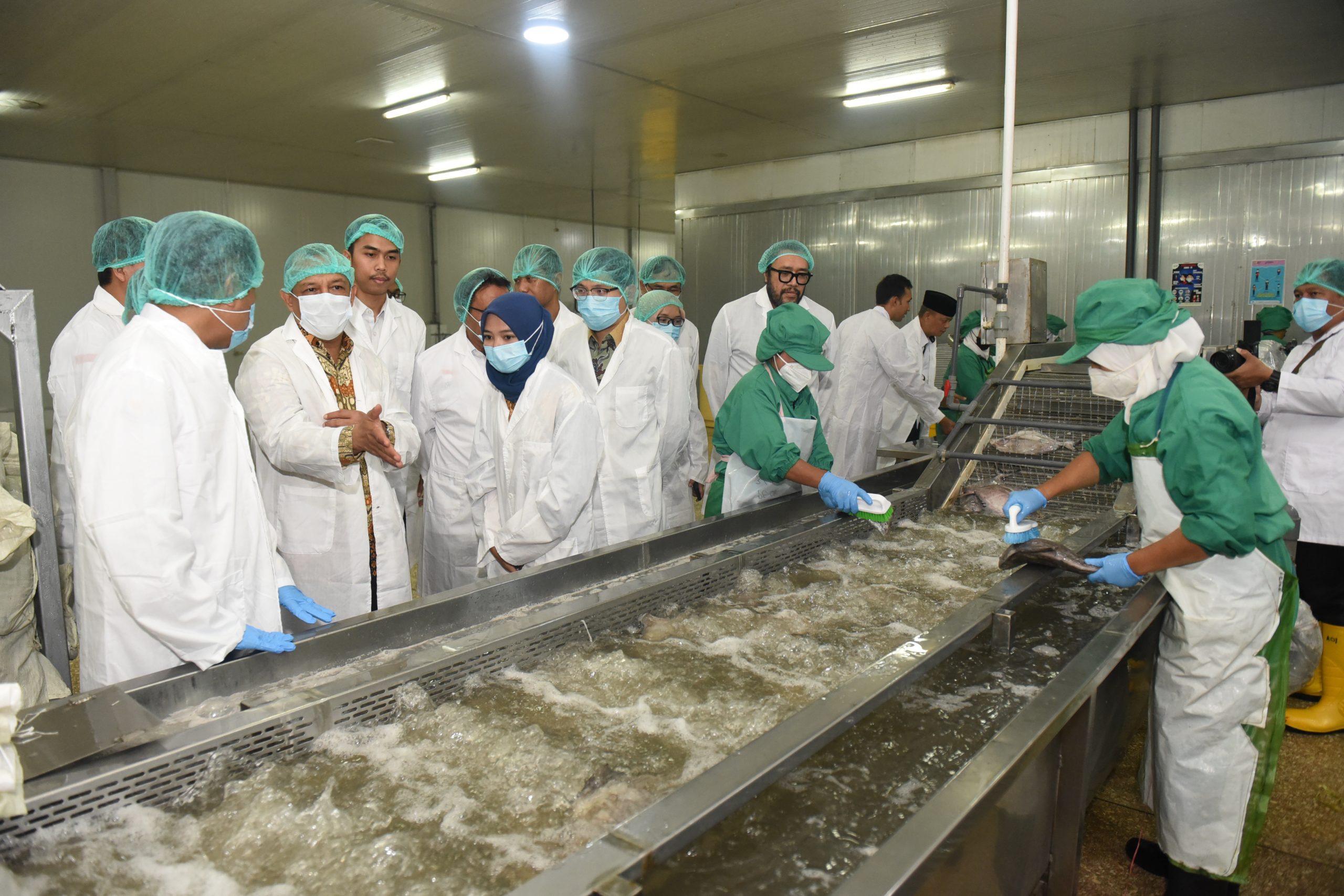 Komisi IV Dorong PT SSI Beli Ikan Segar Guna Peningkatan Kesejahteraan ...